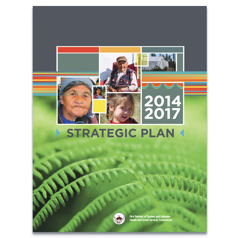 Strategic Plan 2014 2017 Cssspnql